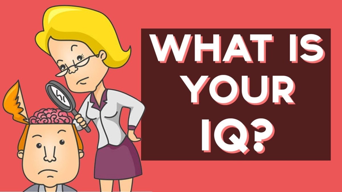 What is your IQ? – Fadi Zaghmout